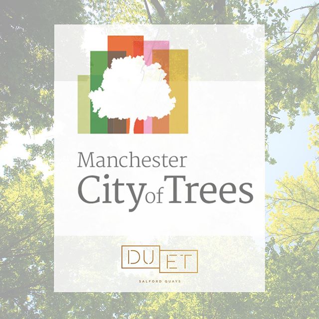 The City of Trees Initiative Turning Greater Manchester Green