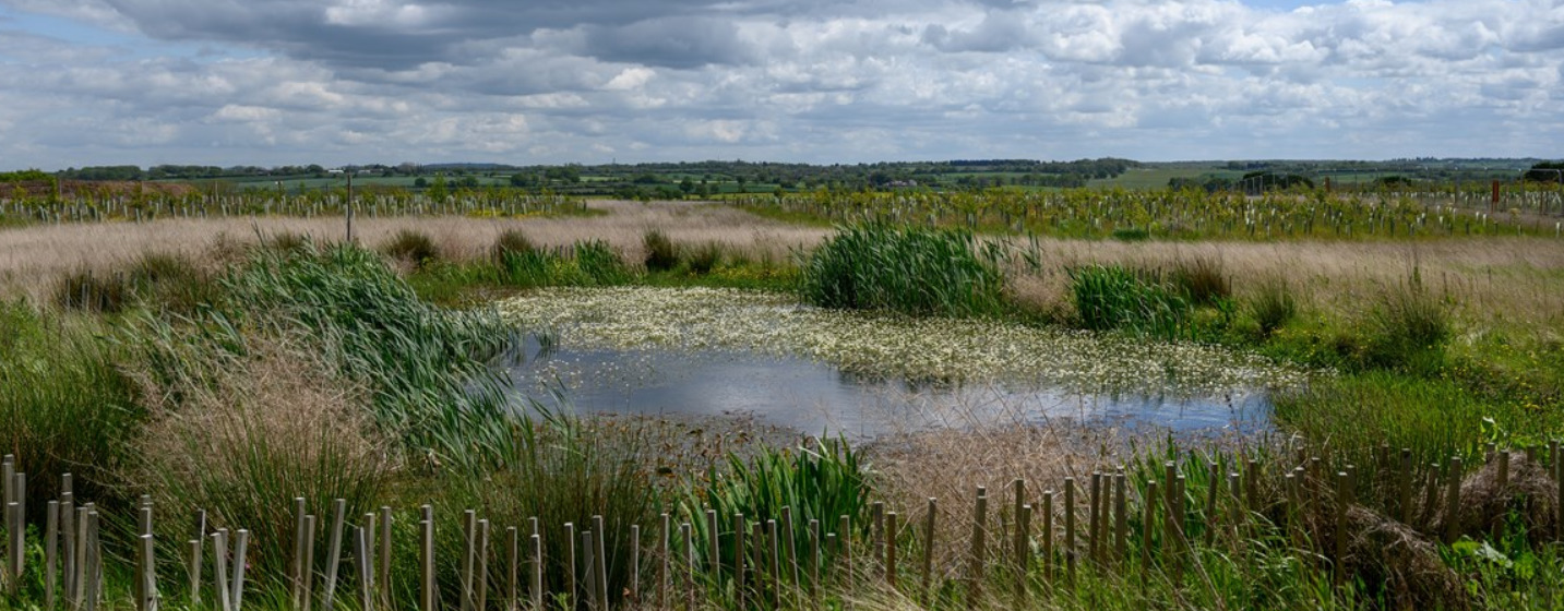 HS2 announces new landmark as 700,000 trees planted