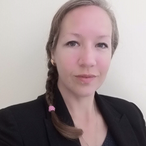 Future Development and Regeneration Plans - Somerset