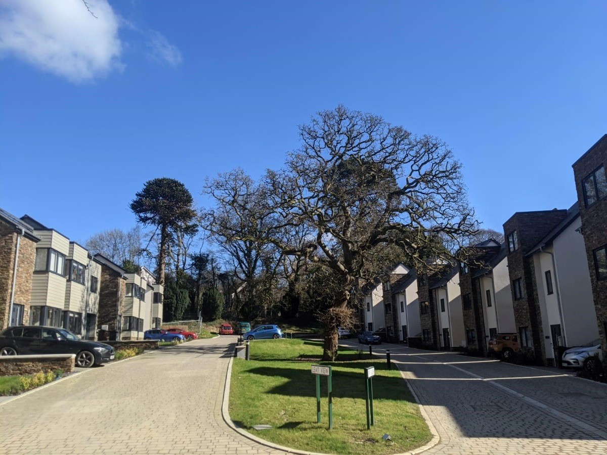 Burrington Estates signals continue growth with strong 2021 - Built ...