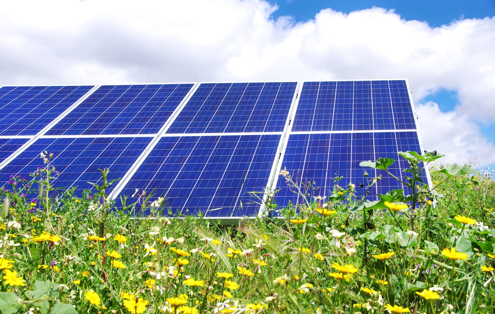 Consultation begins on new solar farm in North Kesteven